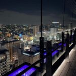 Kawasaki: Nighttime Bar Hopping Tour - Who Should Consider This Tour?