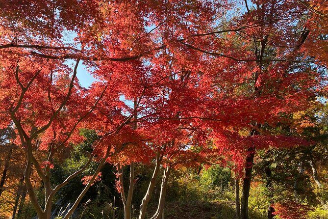 Kawasaki Nihon Minkaen Adventure Tour - Discovering the Route and Its Highlights