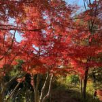 Kawasaki: Tama River Cycling & Japanese Folk House Tour - A Well-Structured Itinerary