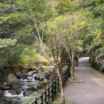Kawazu Seven Falls Guided Tour - What is the Kawazu Seven Waterfalls Guided Tour?