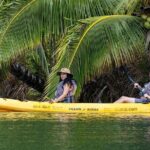 Kayak Adventure on the Roseau River in St Lucia - Who Should Consider This Tour?