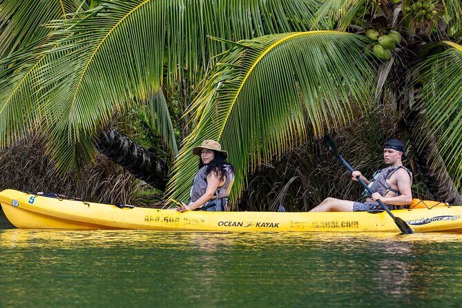 Kayak Adventure on the Roseau River in St Lucia - Who Should Consider This Tour?
