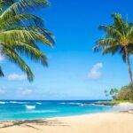 Kayak Adventure Photography on the beach - Who Would Love This Tour?