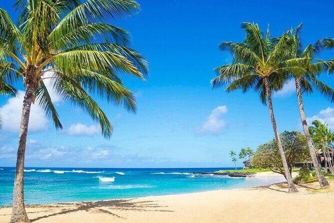 Kayak Adventure Photography on the beach - Who Would Love This Tour?