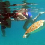 Kayak and Sea Turtle Snorkel with Beach Break - Itinerary Breakdown: What to Expect