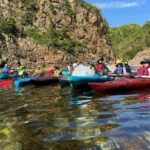 Kayak Clean-up and BBQ Tour on Tottori Uradome Coast - Who Should Consider This Tour?