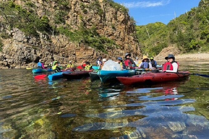 Kayak Clean-up and BBQ Tour on Tottori Uradome Coast - Who Should Consider This Tour?