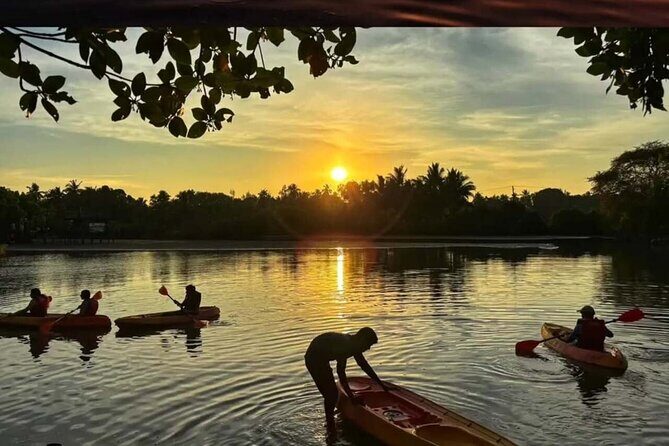 Kayak Rentals in Negombo Lagoon - Who Should Pick This Experience?