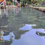 Kayak & Snorkel, Farm, & Hot Springs in Soufriere Volcano - The Practicalities: What You Need to Know