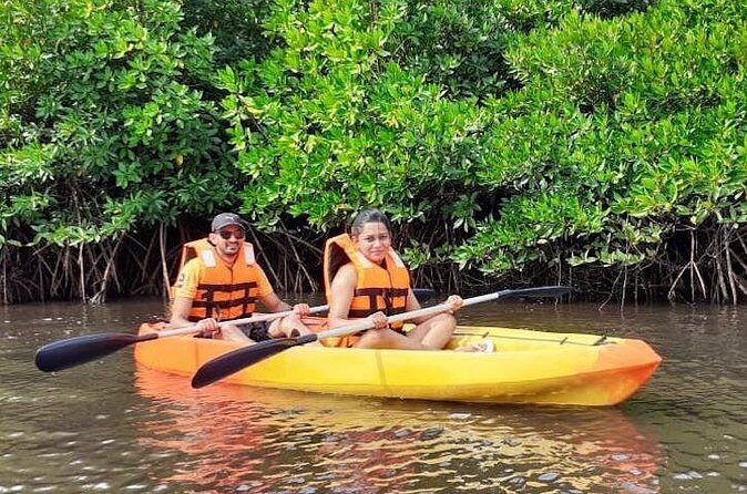 Kayaking Mangrove Adventure at Havelock - What the Tour Entails — Step-by-Step