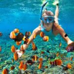 Kayaking & Snorkeling in Samana Bay and Cayo Levantado Island - Who This Tour Is Best For