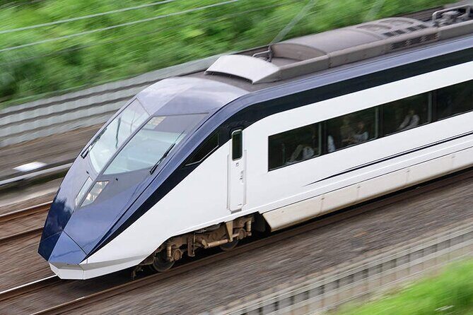 Keisei Skyliner Narita Airport Express Ticket - Who Should Consider This Service?