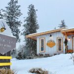 Kelowna Snow E-Biking Adventure with Lunch, Wine Tasting & S'mores - Exploring the Snow E-Biking Experience in Detail