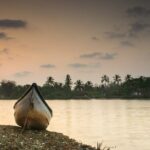 Kerala 6 Day Tour Munnar Thekkady Alleppey Kovalam Beaches - The Sum Up: Who Will Love This Tour?