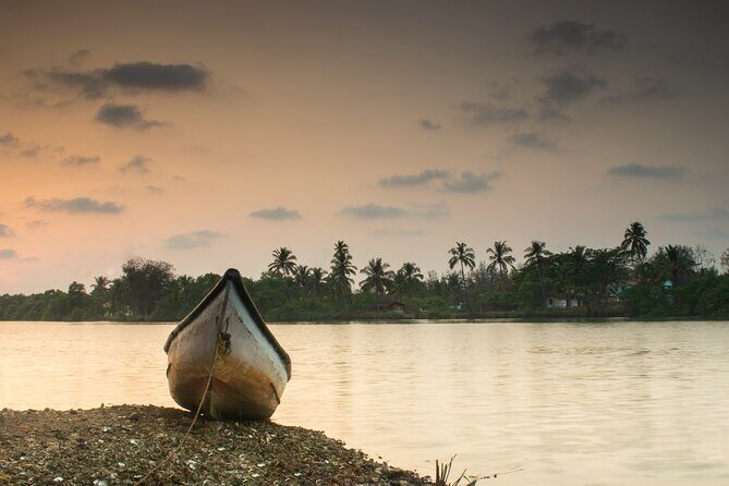 Kerala 6 Day Tour Munnar Thekkady Alleppey Kovalam Beaches - The Sum Up: Who Will Love This Tour?