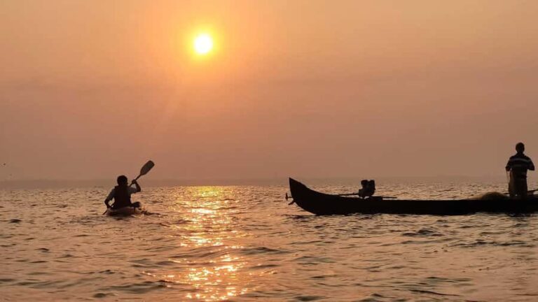 Kerala: SUP or Kayak to Bird's Island with Nature Walk - Who Is It Best For?
