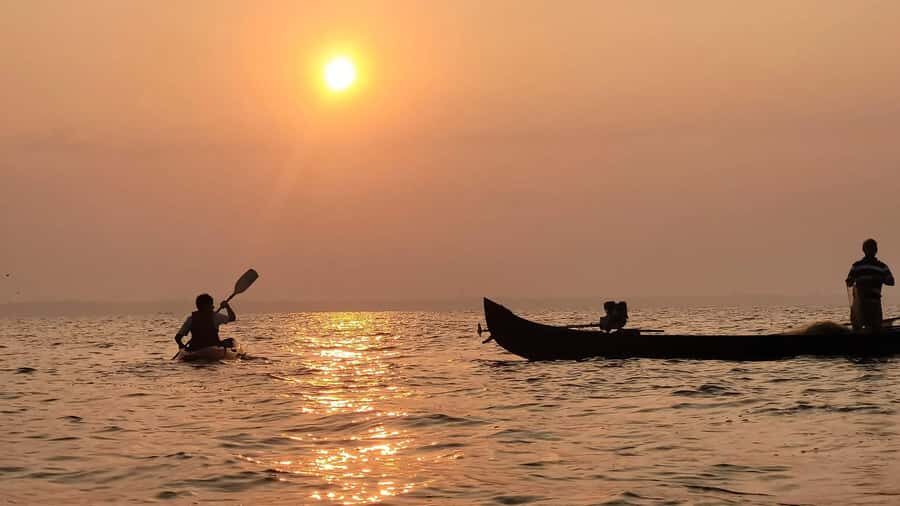 Kerala: SUP or Kayak to Bird's Island with Nature Walk - Who Is It Best For?