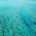 Kerama Snorkeling Tour from Chatan or Naha - The Bottom Line: Is This Tour Worth It?