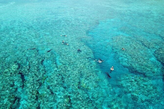 Kerama Snorkeling Tour from Chatan or Naha - The Bottom Line: Is This Tour Worth It?