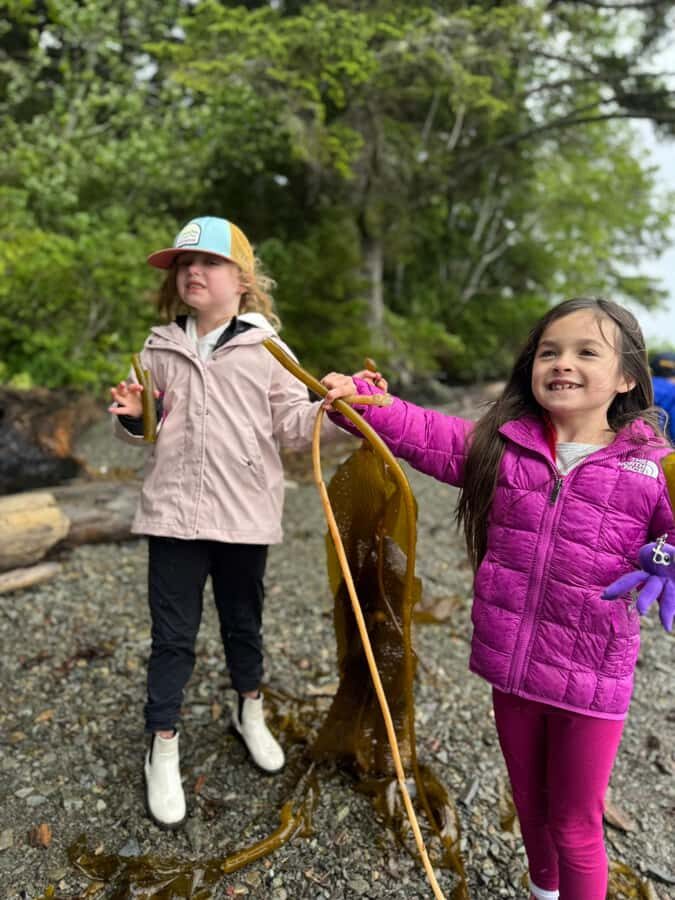 Ketchikan: Private Tours suitable for all ages! - What Sets This Tour Apart?