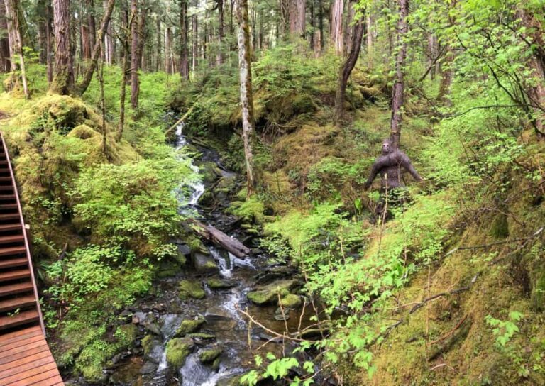 Ketchikan: Tongass Forest Alaska Bigfoot ATV Ride and Hike - The Experience Itself: What You’ll Take Away