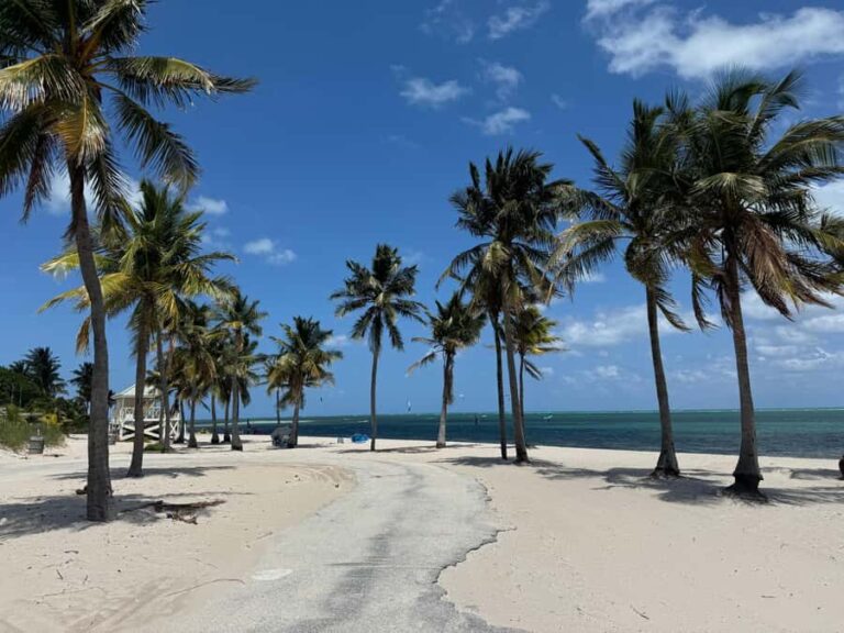 Key Biscayne: Self-Guided E-bike Tour - What Makes the Itinerary Special?