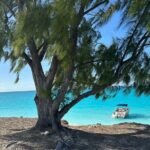 Key to the Sea Private Full Day Sun & Snorkel BBQ charter - What to Expect in Terms of Value