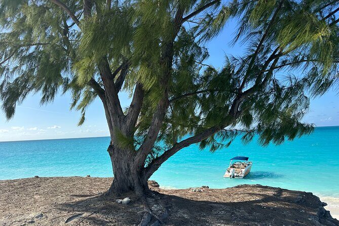 Key to the Sea Private Full Day Sun & Snorkel BBQ charter - What to Expect in Terms of Value