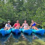 Key West: 3-hour Mangrove Kayak Tour - The Itinerary in Detail