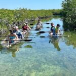 Key West Area: Guided Clear Kayak Eco-Tour - The Itinerary: From Launch to Return