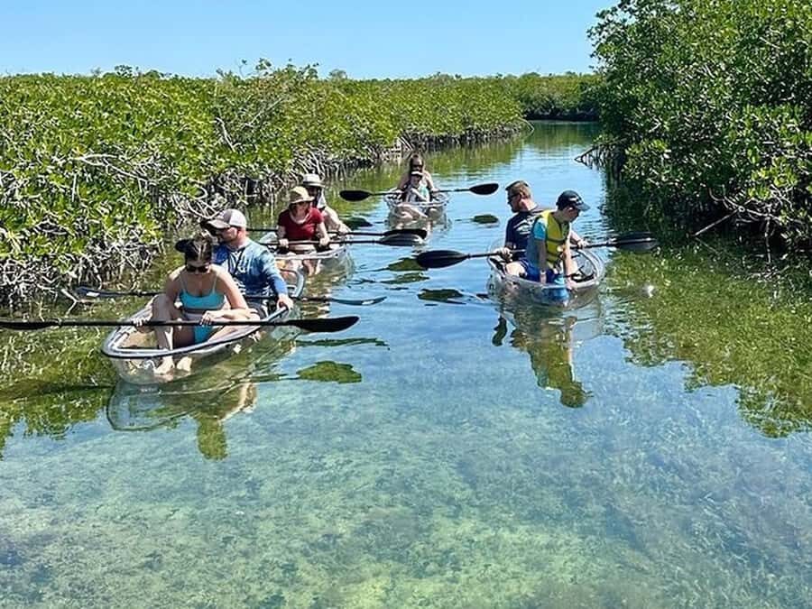 Key West Area: Guided Clear Kayak Eco-Tour - The Itinerary: From Launch to Return