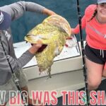 Key Wests Ultimate Inshore Shark Fishing Experience - What Does the Itinerary Look Like?