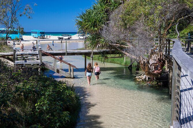 K'gari (Fraser Island) All Inclusive Day Tour - Practical Details and What It Means for You