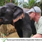 Khao Lak: 2-Hour Elephant Sanctuary Eco-Walk with Guided - What We Love and What to Keep in Mind