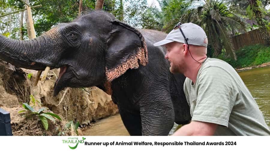 Khao Lak: 2-Hour Elephant Sanctuary Eco-Walk with Guided - What We Love and What to Keep in Mind