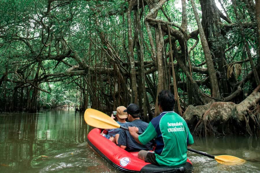 Khao Lak: Canoe Little Amazon & Trekking National Park - Who Will Love This Tour?