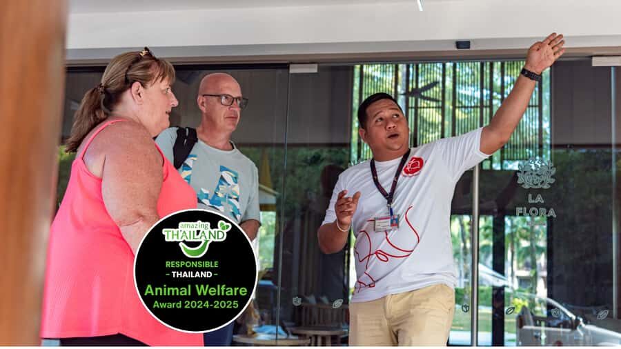 Khao Lak Eco-Safari: Elephants, Tsunami Museum, and Turtles - Who Is This Tour Best For?