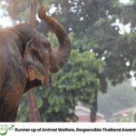 Khao Lak: Ethical Elephant Sanctuary Overnight Adventure - What You Can Expect from This Tour