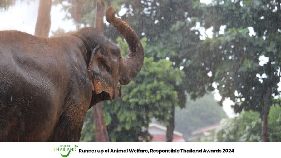 Khao Lak: Ethical Elephant Sanctuary Overnight Adventure - What You Can Expect from This Tour
