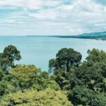 Khao Lak: Ethical Elephants & Zipline Combo Tour - Who Will Love This Experience?