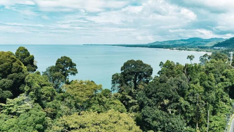 Khao Lak: Ethical Elephants & Zipline Combo Tour - Who Will Love This Experience?