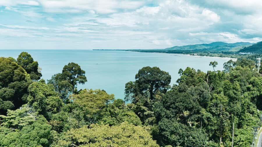 Khao Lak: Ethical Elephants & Zipline Combo Tour - Who Will Love This Experience?