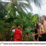 Khao Lak: Ethical Overnight Elephant Sanctuary Experience - What Makes This Experience Stand Out?