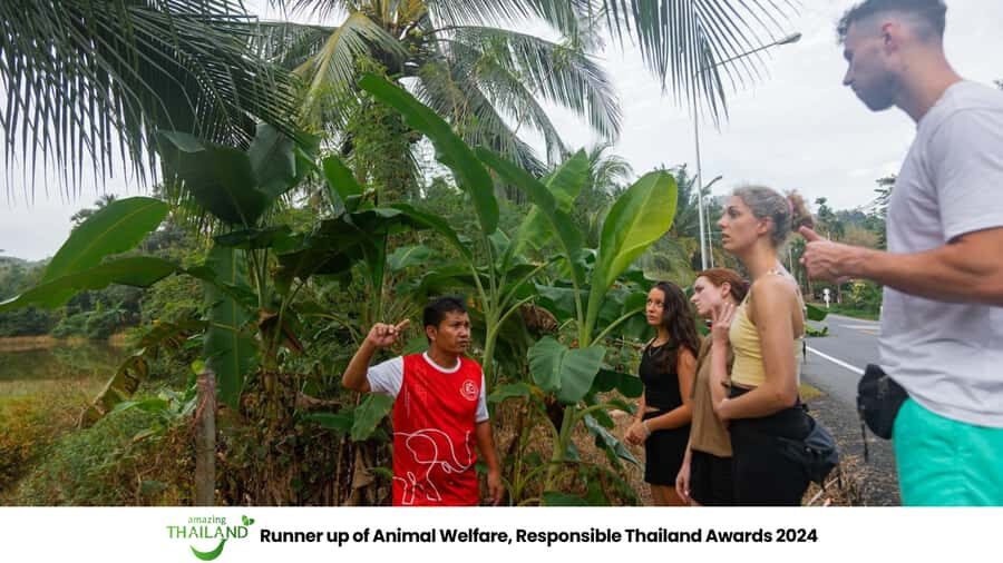 Khao Lak: Ethical Overnight Elephant Sanctuary Experience - What Makes This Experience Stand Out?