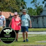 Khao Lak: Highlights with Temple, Turtles & Elephants Tours - The Itinerary Breakdown