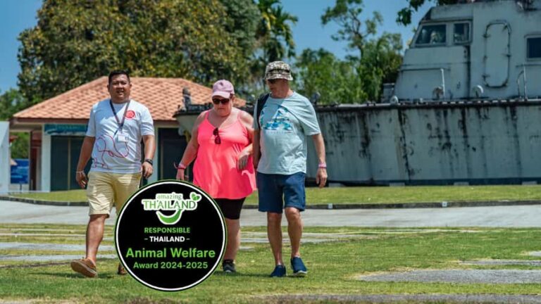 Khao Lak: Highlights with Temple, Turtles & Elephants Tours - The Itinerary Breakdown