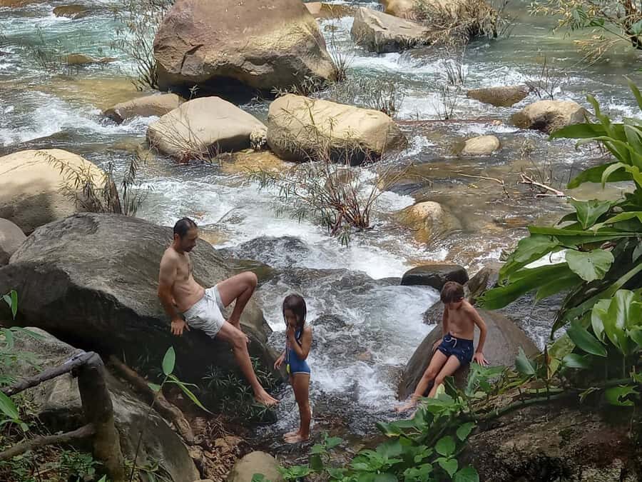 Khao Lak: Khao Sok Elephant Sanctuary and Night Jungle Walk - A Comprehensive Look at the Tour