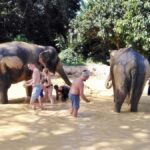 Khao Lak: Khao Sok Private Elephant Daycare & Bamboo Rafting - The Real Value in the Experience