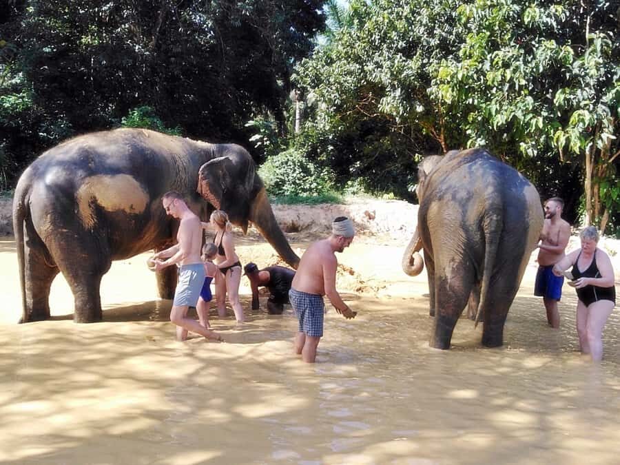 Khao Lak: Khao Sok Private Elephant Daycare & Bamboo Rafting - The Real Value in the Experience