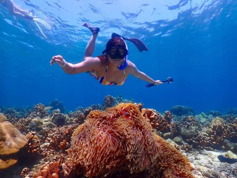 Khao Lak: Koh Haa & Koh Rok Day Tour with Snorkel, Lunch - What Makes This Tour Stand Out